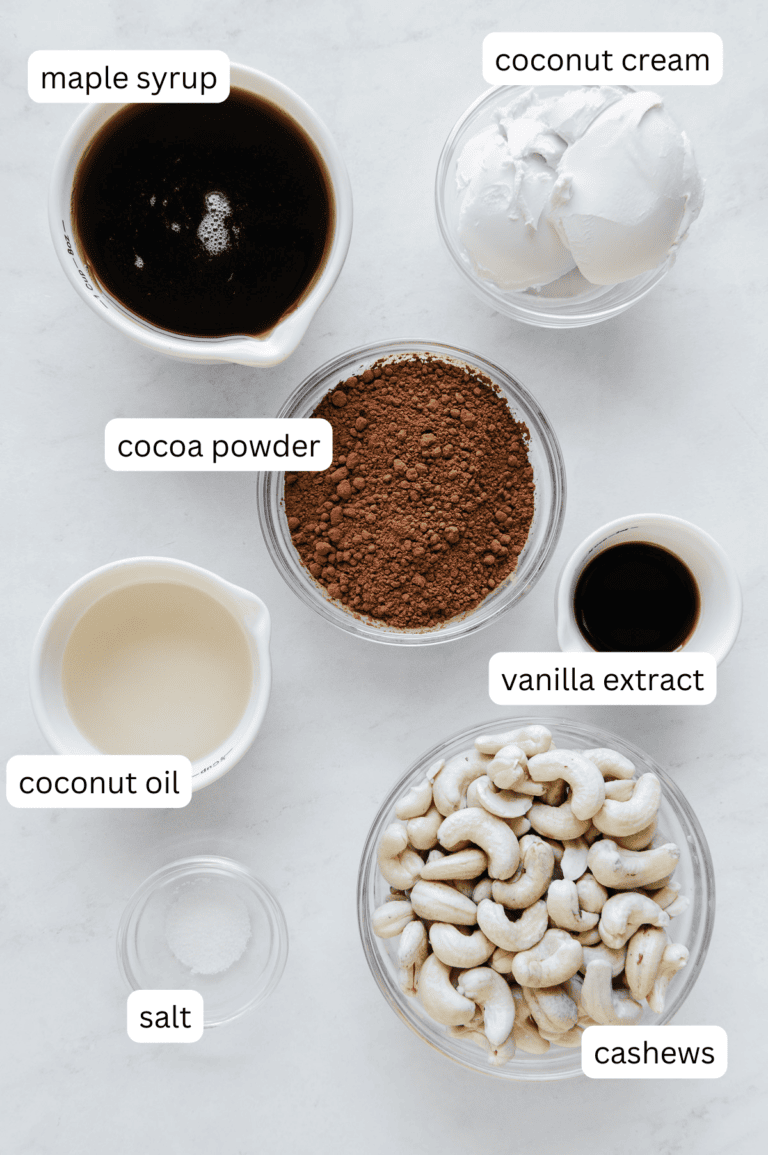 No-Churn Vegan Chocolate Ice Cream (6 Ingredients) - Eating by Elaine